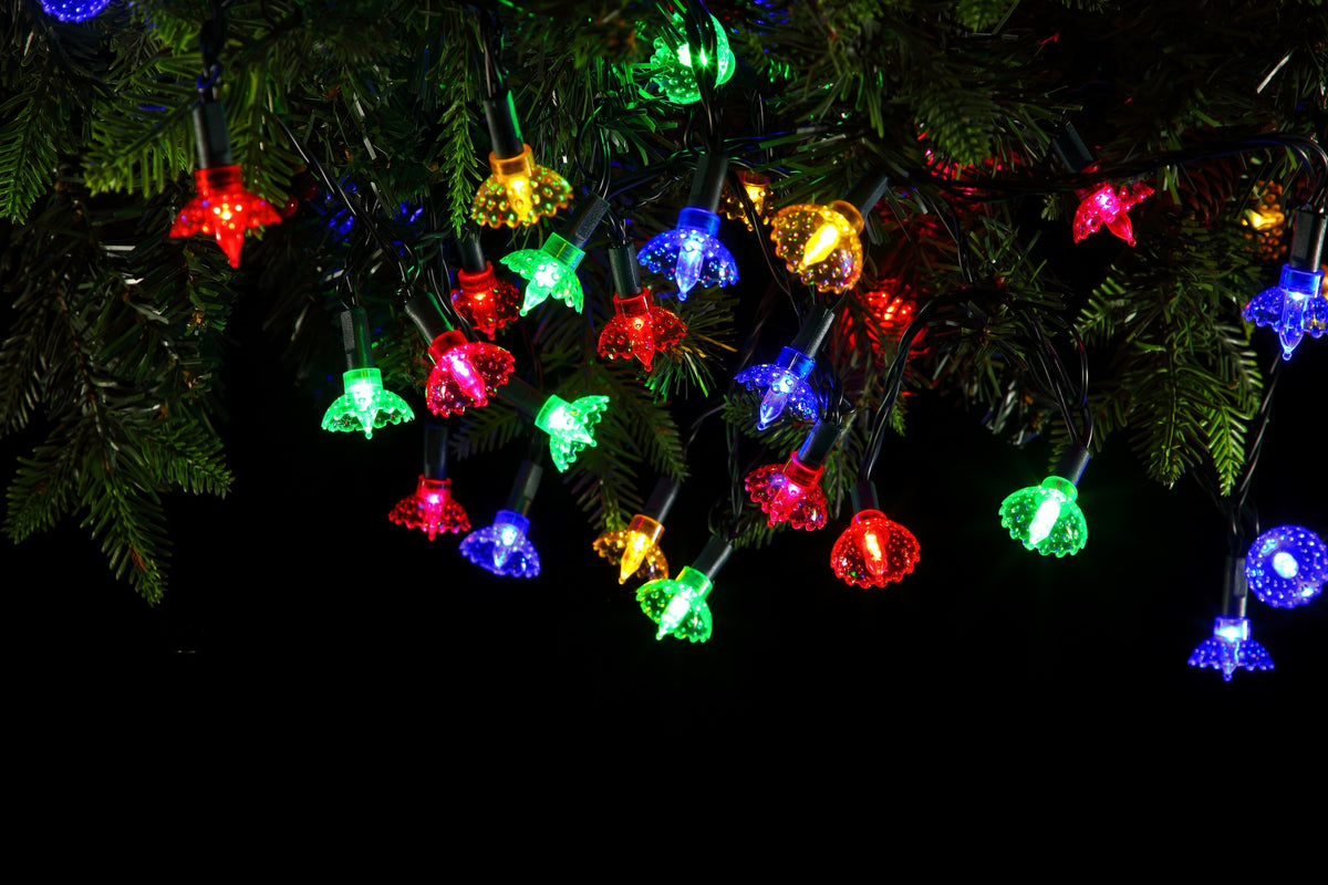 NOMA Classic Pickwicks Battery Operated LED Lights - Set of 20 ...