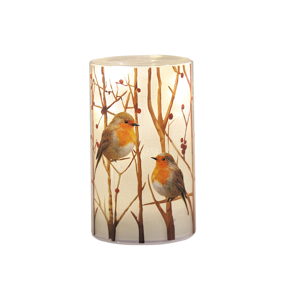 Light Up LED Robin Decorative Robin Tube 15cm – Southwood Christmas Shop