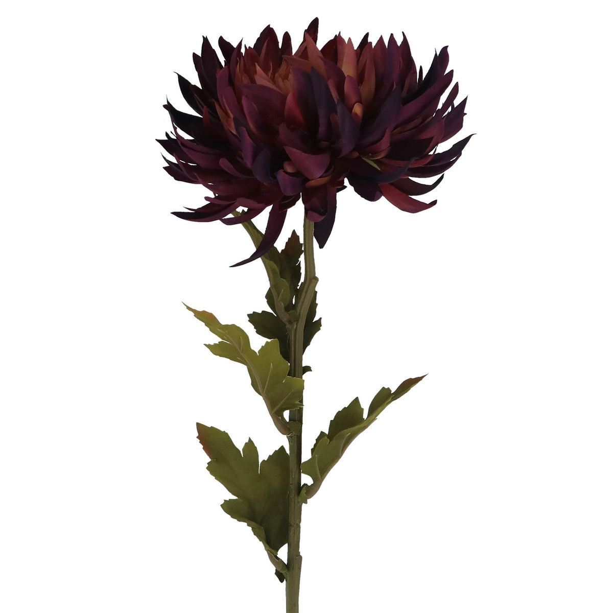 Gisela Graham Dark Purple Chrysanthemum Stem - 62cm – Southwood ...