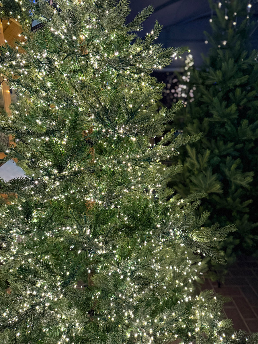 Everlands 7ft Grandis Fir Pre-Lit with 4200 Warm White Compact Cluster ...