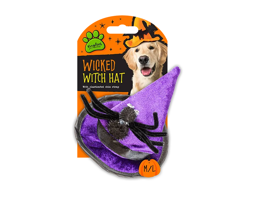 Halloween Pet Witches Hat – Southwood Christmas Shop