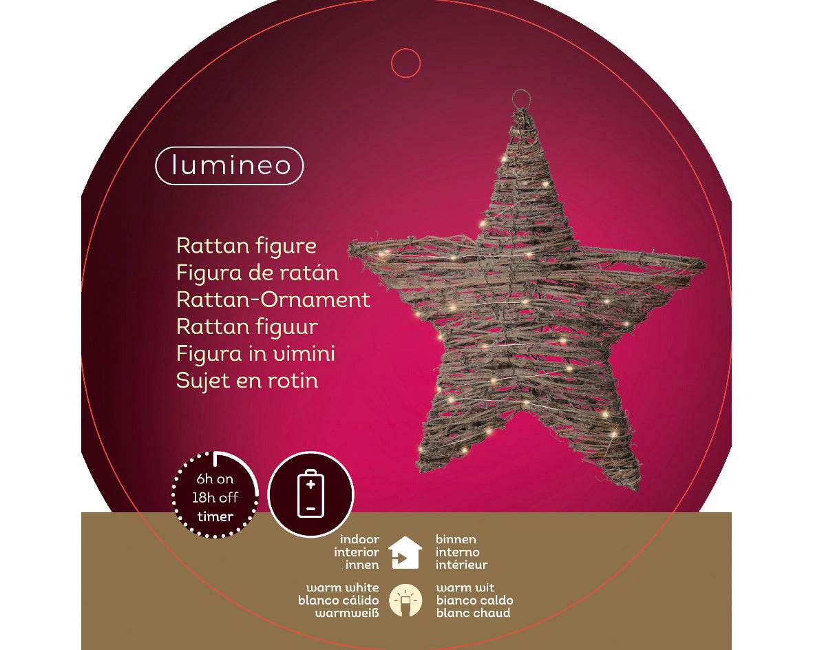 Warm White LED Glitter Rattan Star – Southwood Christmas Shop